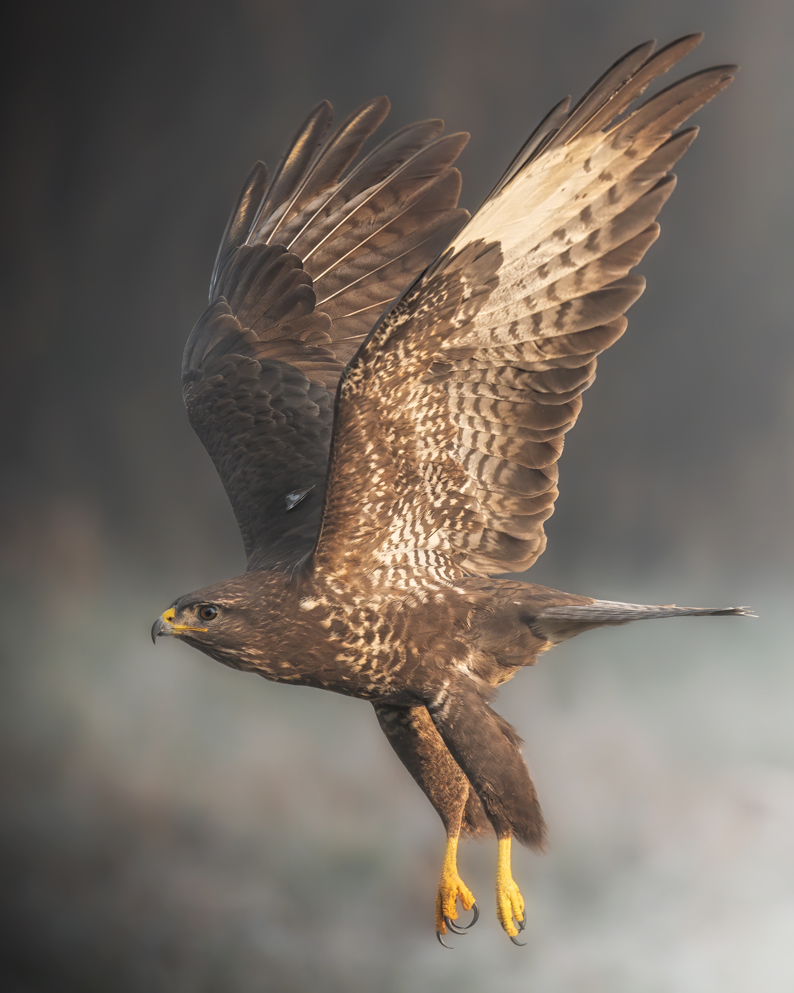 Alessandro Belloni Photography - Courses